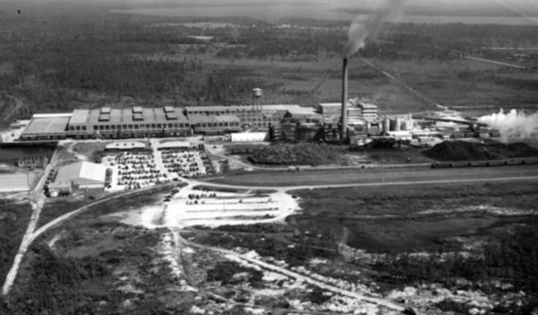 Georgia-Pacific’s Palatka Paper Mill Celebrates 75 Years
