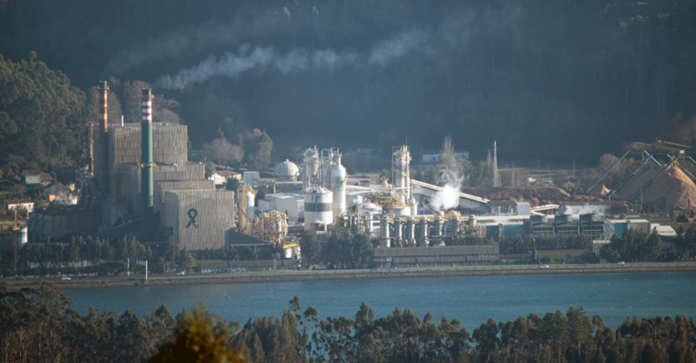 Ence invests 120 million to modernize its Pontevedra factory