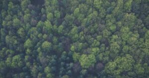 U.S. paper industry operating rate reaches 87.5% in 2024, says AF&PA